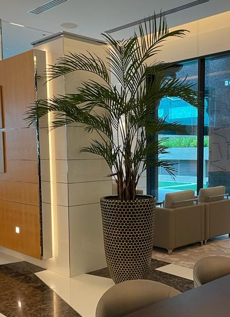 Benefits & Advantages of Indoor Artificial Plants | Shajara