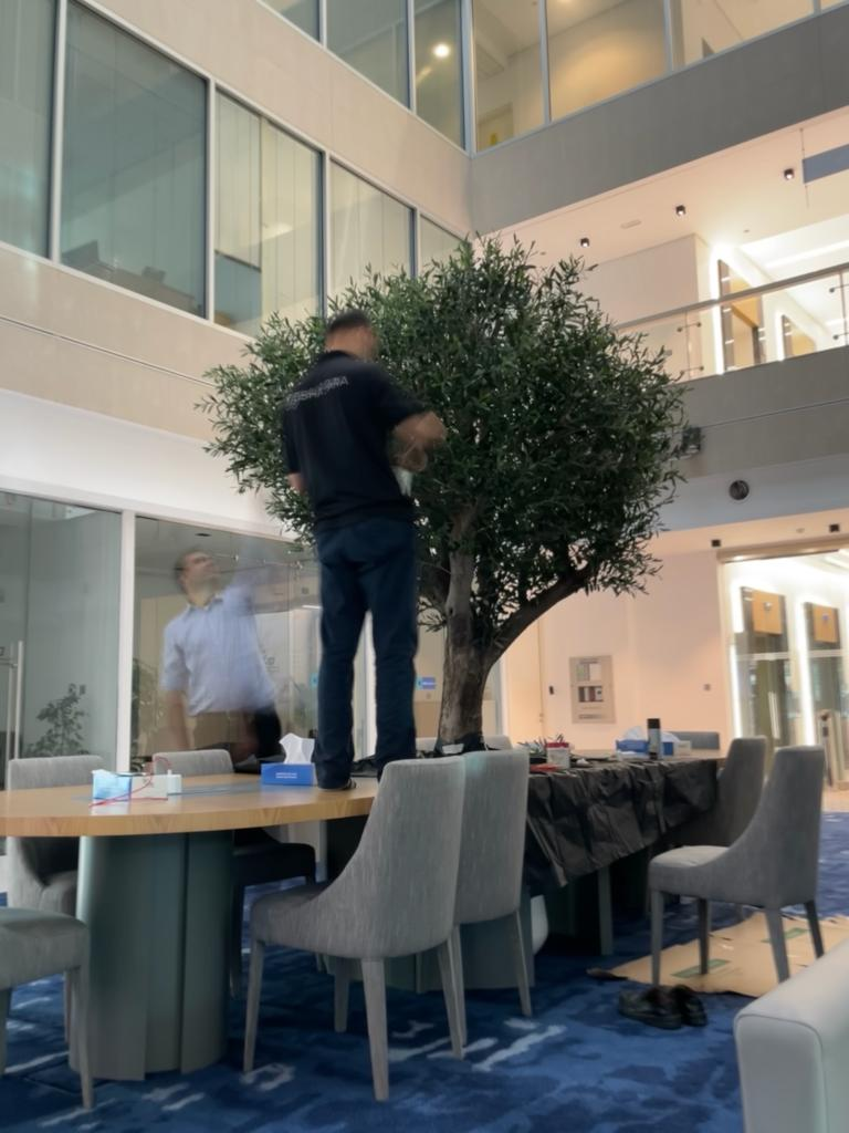 Benefits & Advantages of Indoor Artificial Plants | Shajara