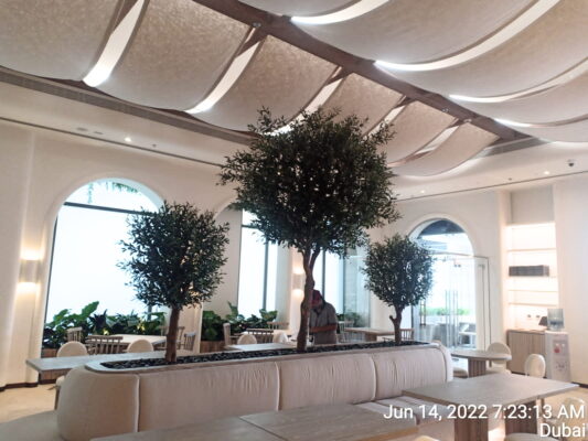 Eat Greek Kouzina | Our Work | Shajara Artificial Plants