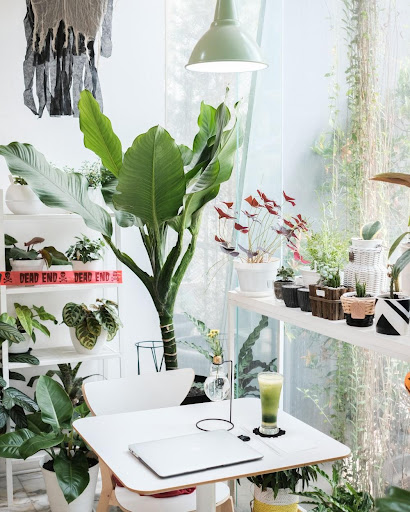 How to Decorate Your Home with Fake Plants | Tips & Style Ideas