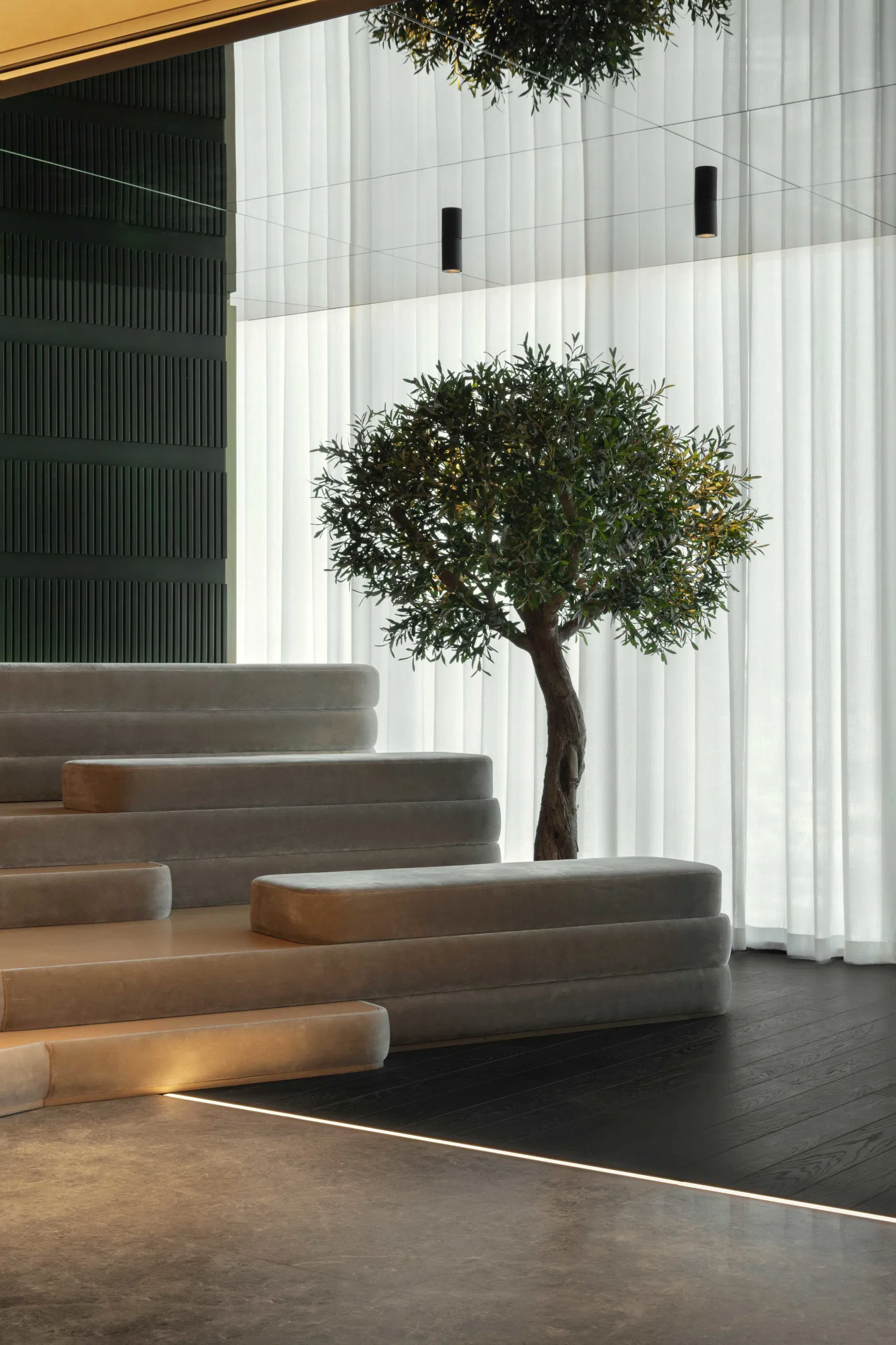 Luxurious Bespoke Artificial Olive Tree at the Siro Hotel in Dubai ...